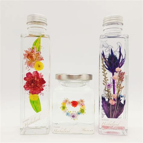 프리저브드플라워 하바리움 팔로업 라나 수이사이기법 식물표본 고급하바리움 용인흥덕꽃집 인테리어소품 고급꽃 네이버 블로그