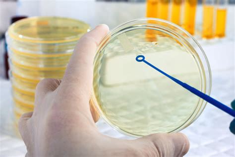 「loopful」の写真素材 9件の無料イラスト画像 Adobe Stock