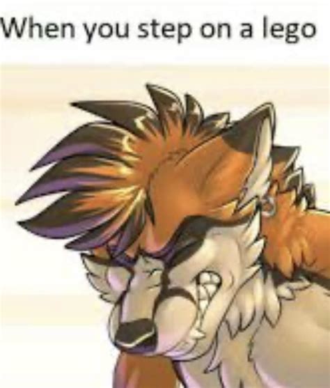 Posting A Cropped Yiff Meme Every Day Until Nnn Is Over Day 18 R