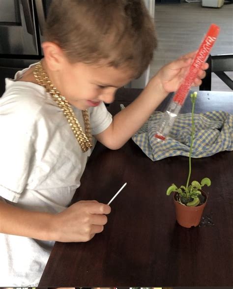 Pin By Melinda Baerga On Mrs Bs Class 2021 2022 S Class Class