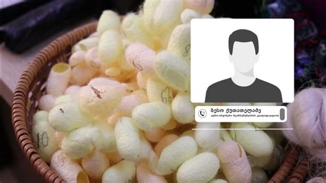 იმერული აბრეშუმის ისტორია დიდი ჯიხაიშის მაგალითზე Youtube