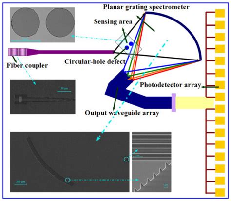 The Schematic Configuration And Fabricated Pictures Of Proposed Optical Download Scientific