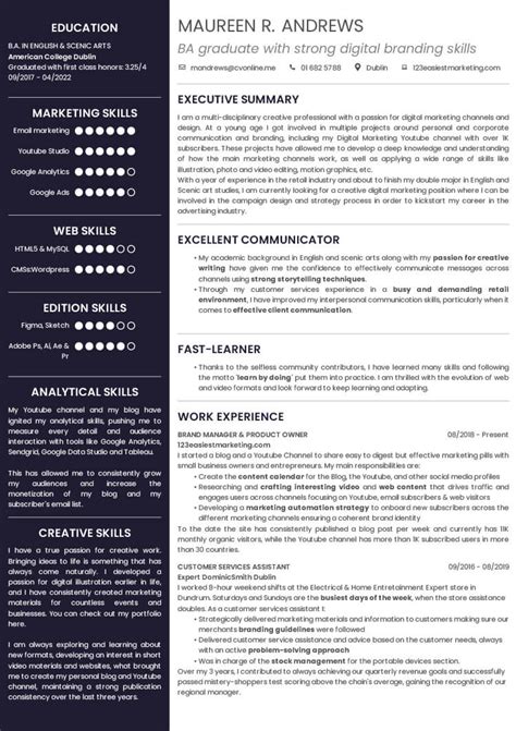 Babe CV Examples Writing Tips And Template OFF
