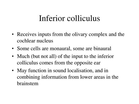 Ppt The Auditory System Powerpoint Presentation Free Download Id