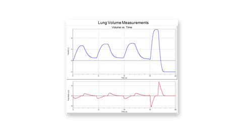 Define Spirometer Biology At Michele Bodden Blog