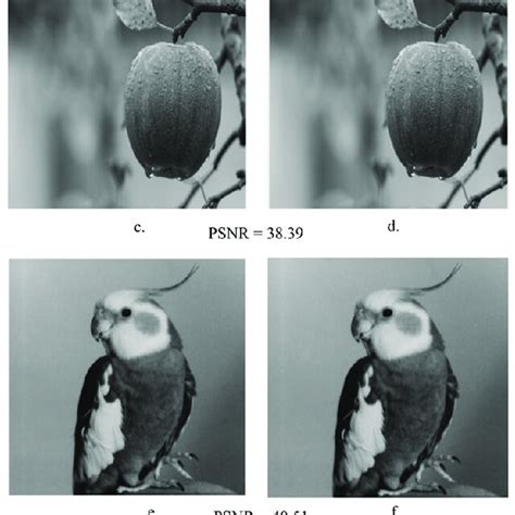 original and reconstructed images along with psnrs using the proposed