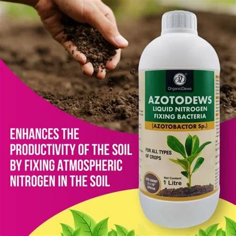 1l Azotodews Liquid Nitrogen Fixing Bacteria Azotobacter Bottle Packaging Size 1 Litre At Rs