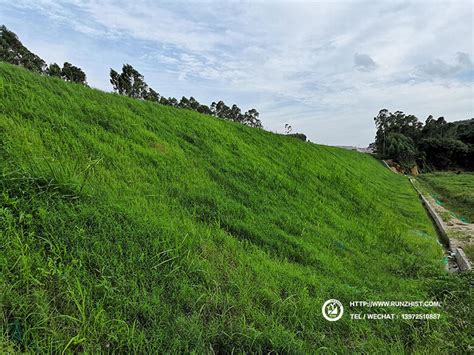 广东玉湛高速路基填方土质（砂土）边坡 湖北润智生态科技有限公司