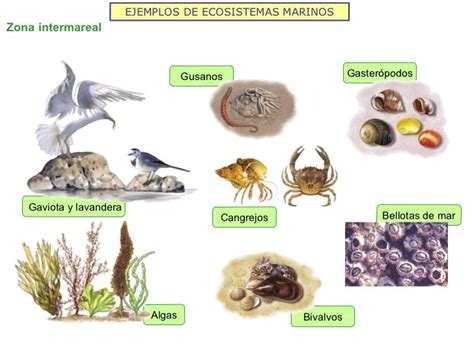 Retazos De Ciencia Clasificando