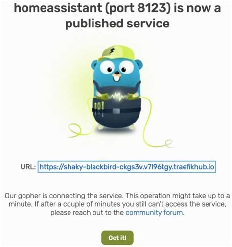 Control And Secure Your Home Automation Remotely With Raspberry Pi And Traefik Hub