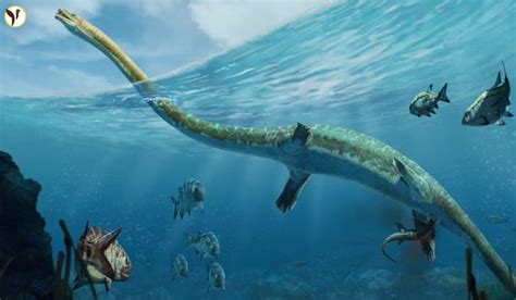 Dinocephalosaurus Orientalis Fossil 240 Million Year Old