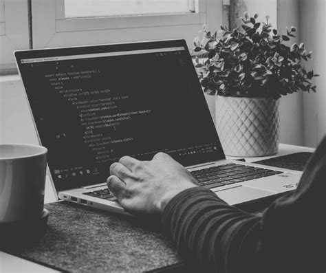 Experts Insights In The Software Development Process