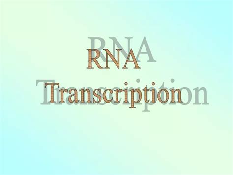 PPT RNA Transcription PowerPoint Presentation Free Download ID