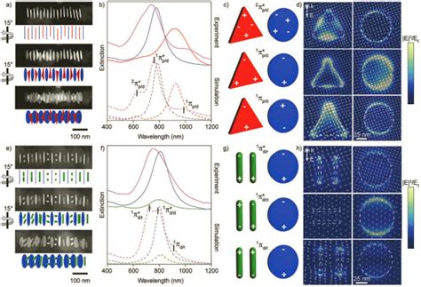 deterministic symmetry breaking of plasmonic nanostructures enabled by