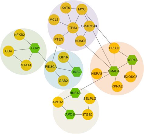 Network Modules Discovered In Subtype 1 The Green Nodes Represent Download Scientific Diagram