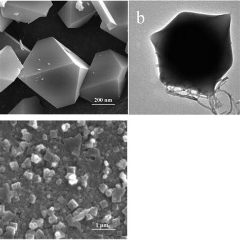 Sem Picture Of Mof 199 A Tem Picture Of Cmwcnt Mof 199 B And Sem Download Scientific