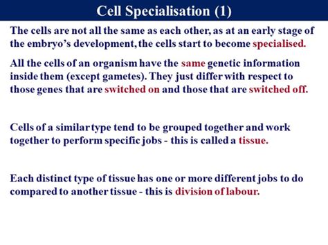 Bio21 Cells Discovery Organisation And Specialisation Teaching Resources