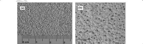 Pore Structure Of A Aac Sample And B Expanding Crack Structure Of An Download Scientific