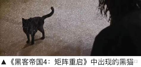 这个世界是虚拟的吗，那有没有人疑似掌握了这个世界的bug？ 知乎