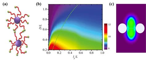 A Scheme Diagram Of The Interaction Between Two Spherical Particles Download Scientific