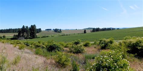 First Exit Interview With Author Nathan Everett