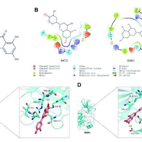 The Effect Of Luteolin On The Triple Negative Breast Cancer Cell Is Download Scientific Diagram