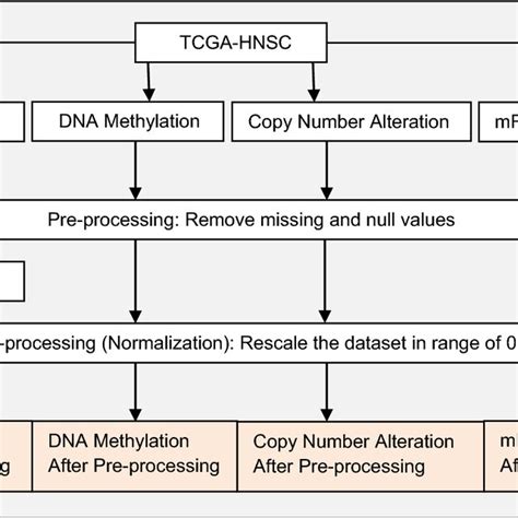overview of dataset pre processing steps download scientific diagram