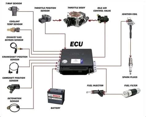Katherine This Diagram Illustrates The Components Of An Electronic Engine Control Unit Ecu