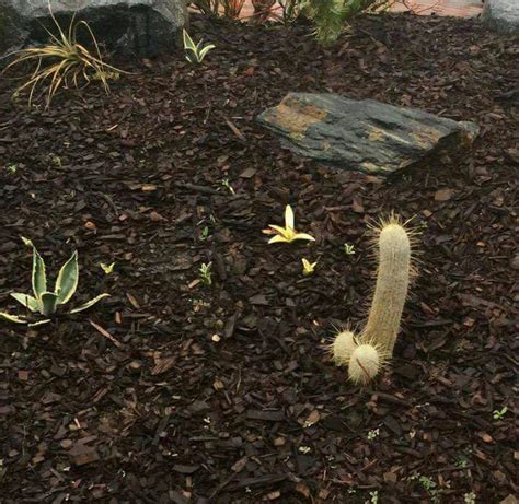 Anything Is A Dildo If Youre Brave Enough Album On Imgur