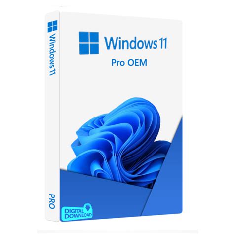 Windows Pro OEM Key