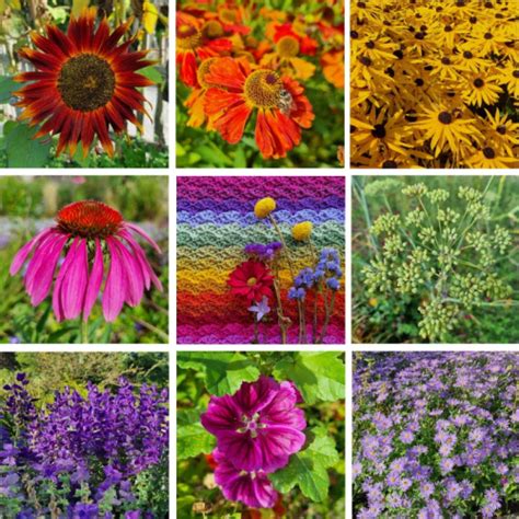 Sungold Blanket Cal Attic24