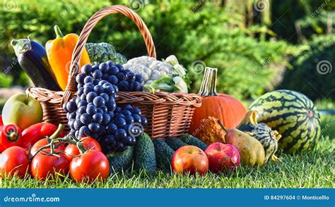 Variety Of Fresh Organic Vegetables And Fruits In The Garden Stock