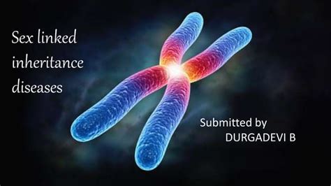 Sex Linked Inheritance Pdf