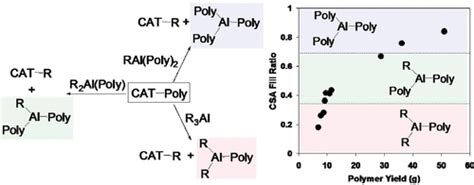 Investigations Of Chain Shuttling Olefin Polymerization Using Deuterium