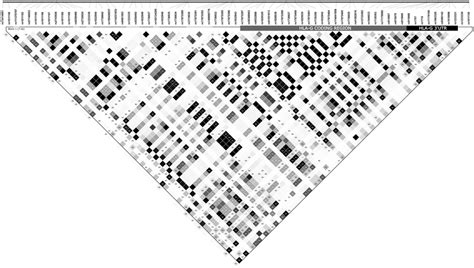 Linkage Disequilibrium Between Pairs Of 106 Bi Allelic Snps At The Download Scientific Diagram