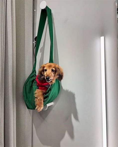 Messenger Pouch Carrier