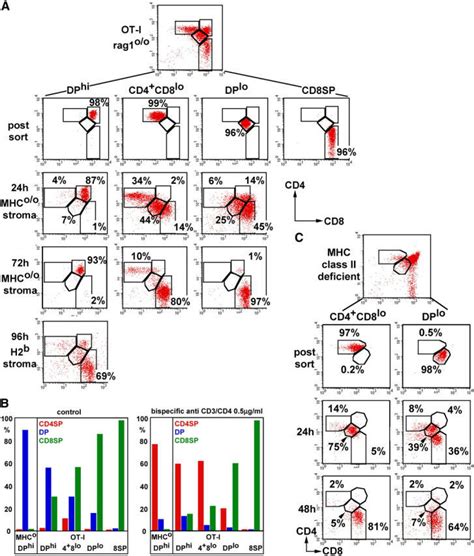 Lineage Commitment And Loss Of Cd4 Lineage Potential During Mhc Class