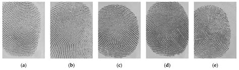 Symmetry Free Full Text Fingerprint Classification Based On Deep Learning Approaches