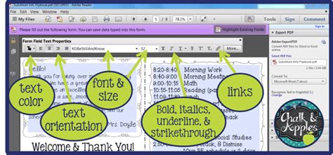 How Do I Edit My Editable PDF Chalk Apples