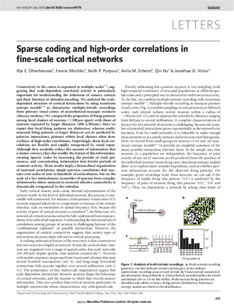 pdf sparse coding and high order correlations in fine scale cortical