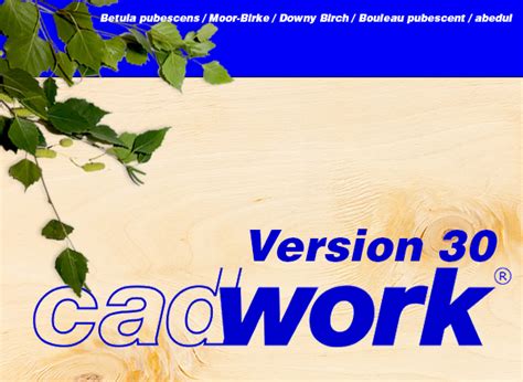 Cadwork Version 30 Set Up Cadworkde Cadwork Version 30 Set Up Cadworkde