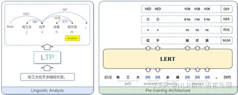 中文预训练模型 哈工大 科大讯飞 提出多任务预训练模型LERT含源码 知乎