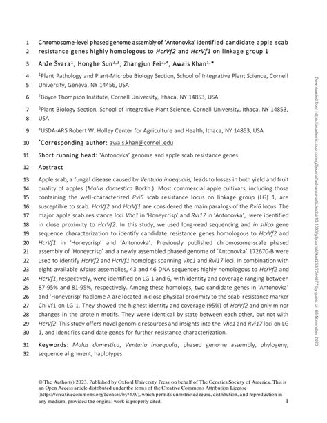 Pdf Chromosome Level Phased Genome Assembly Of ‘antonovka Identified