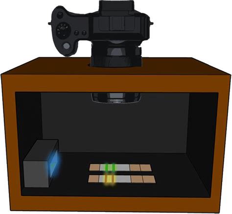 Schematic Illustration Of Fluorescence Imaging Using A Common Digital