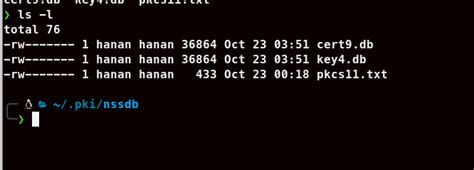 Ssl Not Working On Linux Ubuntu 2020 · Issue 306 · Cpriegovalet