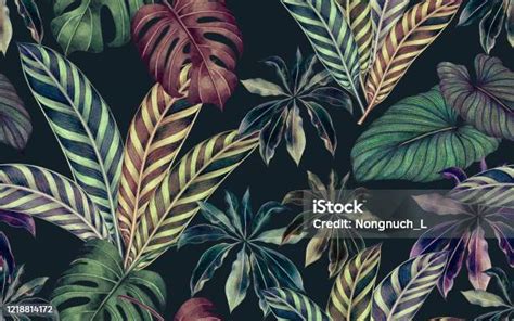 수채화 그림 다채로운 열대 잎 녹색 잎 원활한 패턴 어두운 배경 벽지 섬유 하와이 알로하 여름 스타일을위한 수채화 손으로 그린 그림 열대 이국적인 잎 인쇄 0명에 대한 스톡