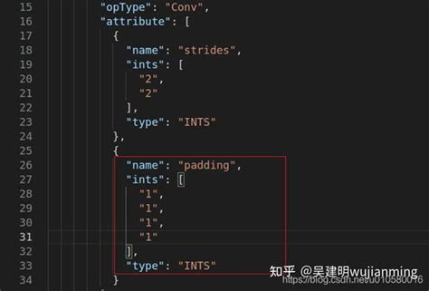 如何实现相互转换：onnx和json之间 知乎
