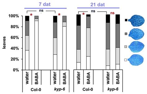 Kyp Acts As A Positive Regulator Of Long Term Maintenance Of Baba Ir Download Scientific