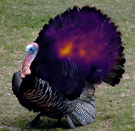 Aaron Van Pelt On Linkedin Naturalgas Lidar Oilgas Oilandgas