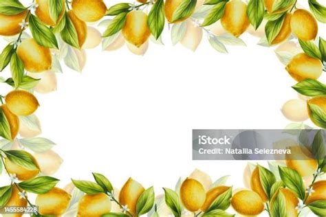 밝은 녹색 잎과 꽃이 있는 신선한 익은 레몬이 있는 수채화 프레임 손으로 그린 컷 감귤류 슬라이스는 흰색 배경에 그림을 그립니다 디자이너 엽서 파티 초대장 포장지 표지